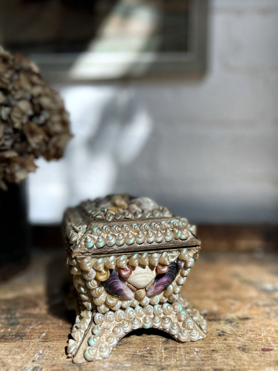French Vintage shell covered souvenir jewellery box – The Old Potato Store