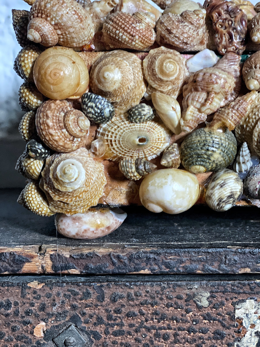 A French Vintage Shell covered jewellery box – The Old Potato Store